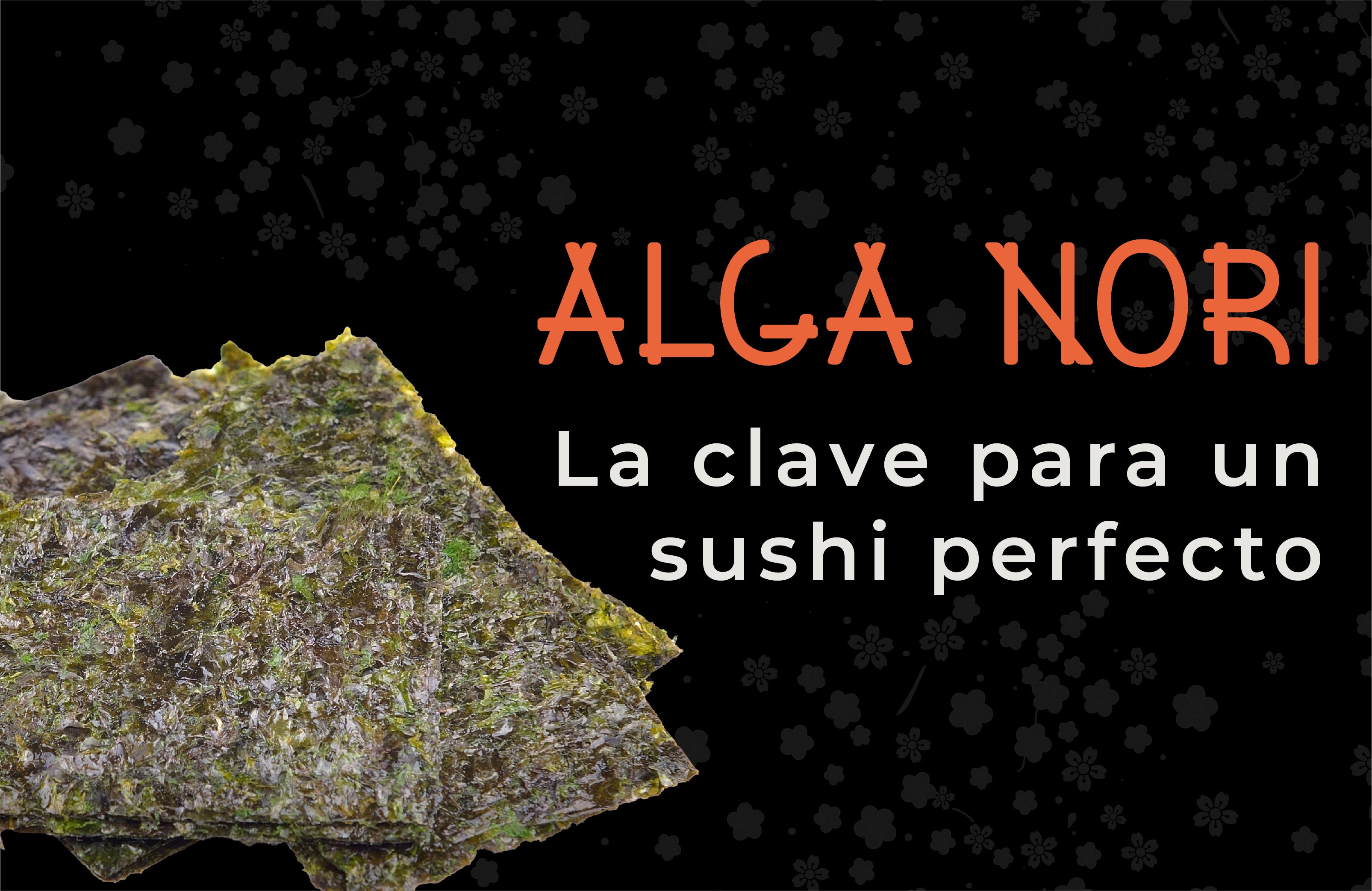 El alga nori: La clave para un sushi perfecto – Morimoto Gourmet